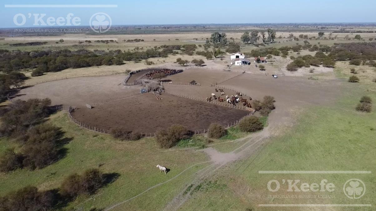 Venta | Campo en venta de 13.747 has. Islas de Ibicuy. Entre Rios ...