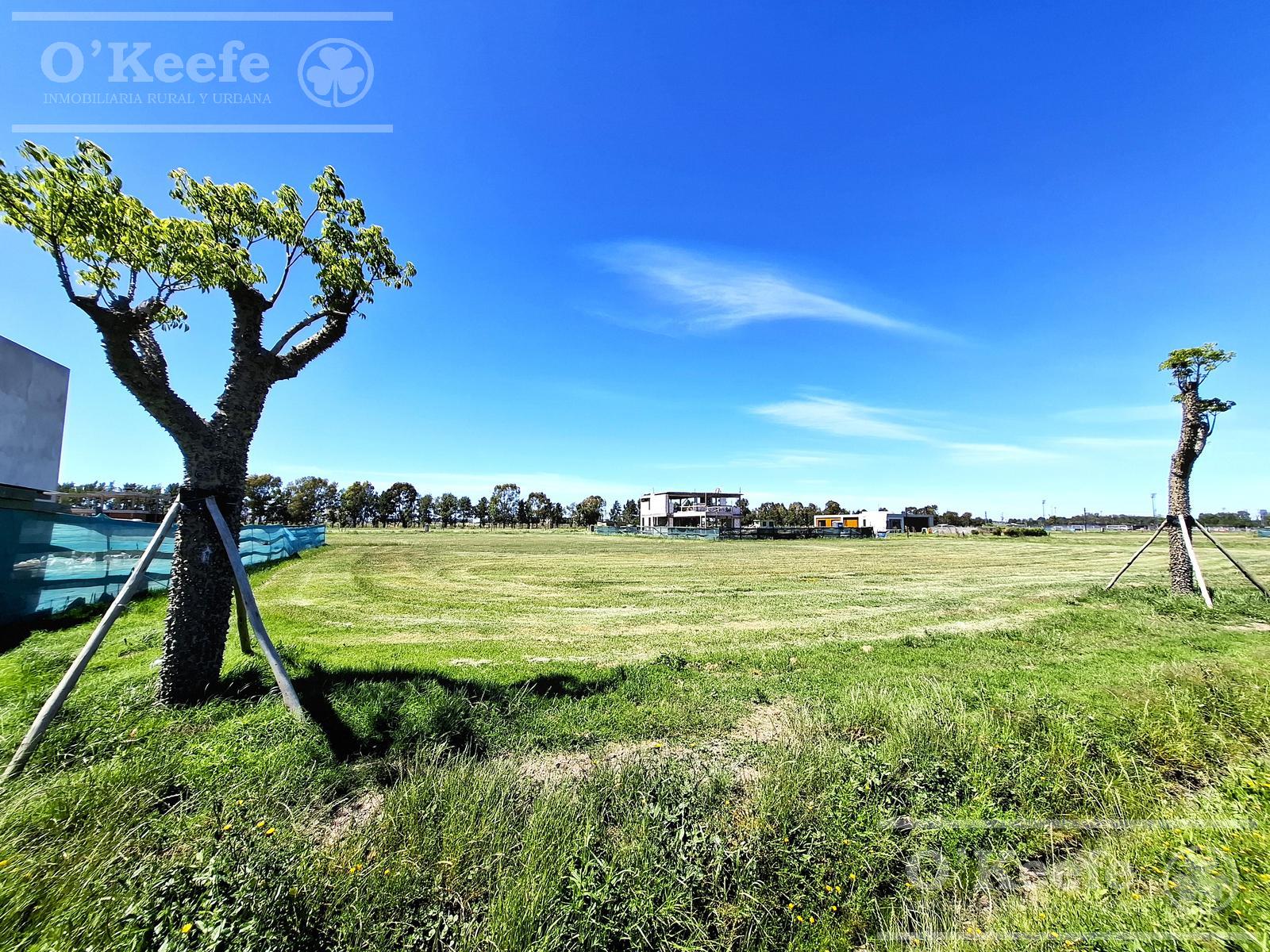 Venta | Lote Central en venta de 1000mts en Puerto Nizuc - Posesión ...