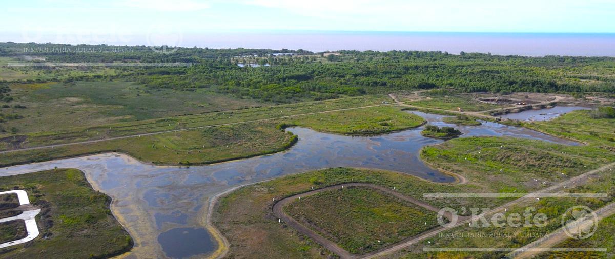 Venta | Terreno interno en Venta en Elcano Guillermo Hudson, Pueblos ...