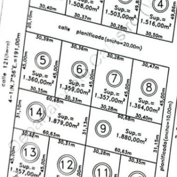 Coldwell Banker Lion Team