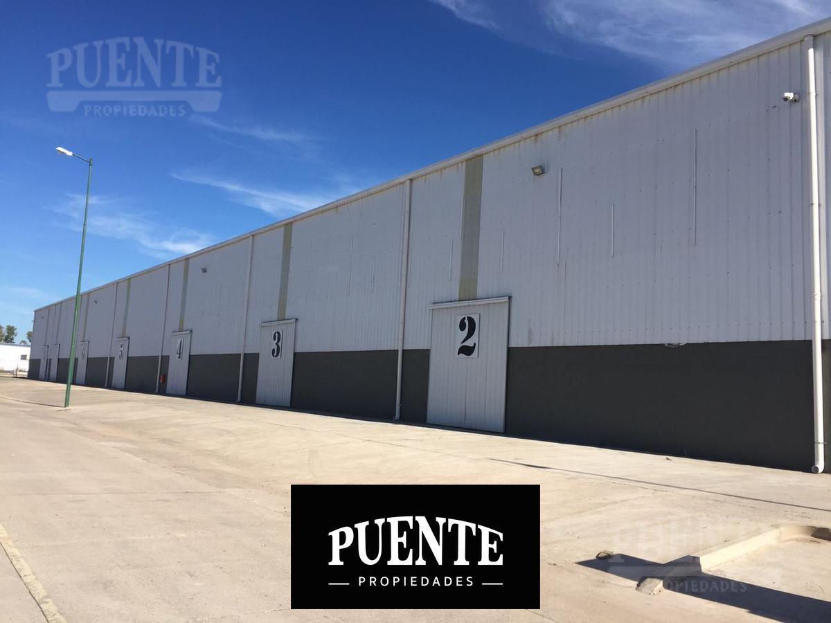 Alquiler | Nave Industrial - Polo Industrial Ezeiza - Venta - Galpon ...